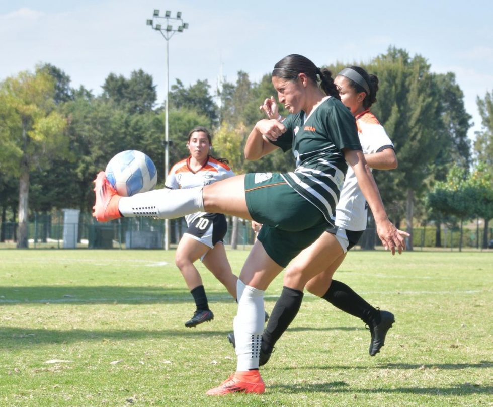 Reanuda la Temporada 2024-25 de la Conferencia Nacional de Fútbol ...